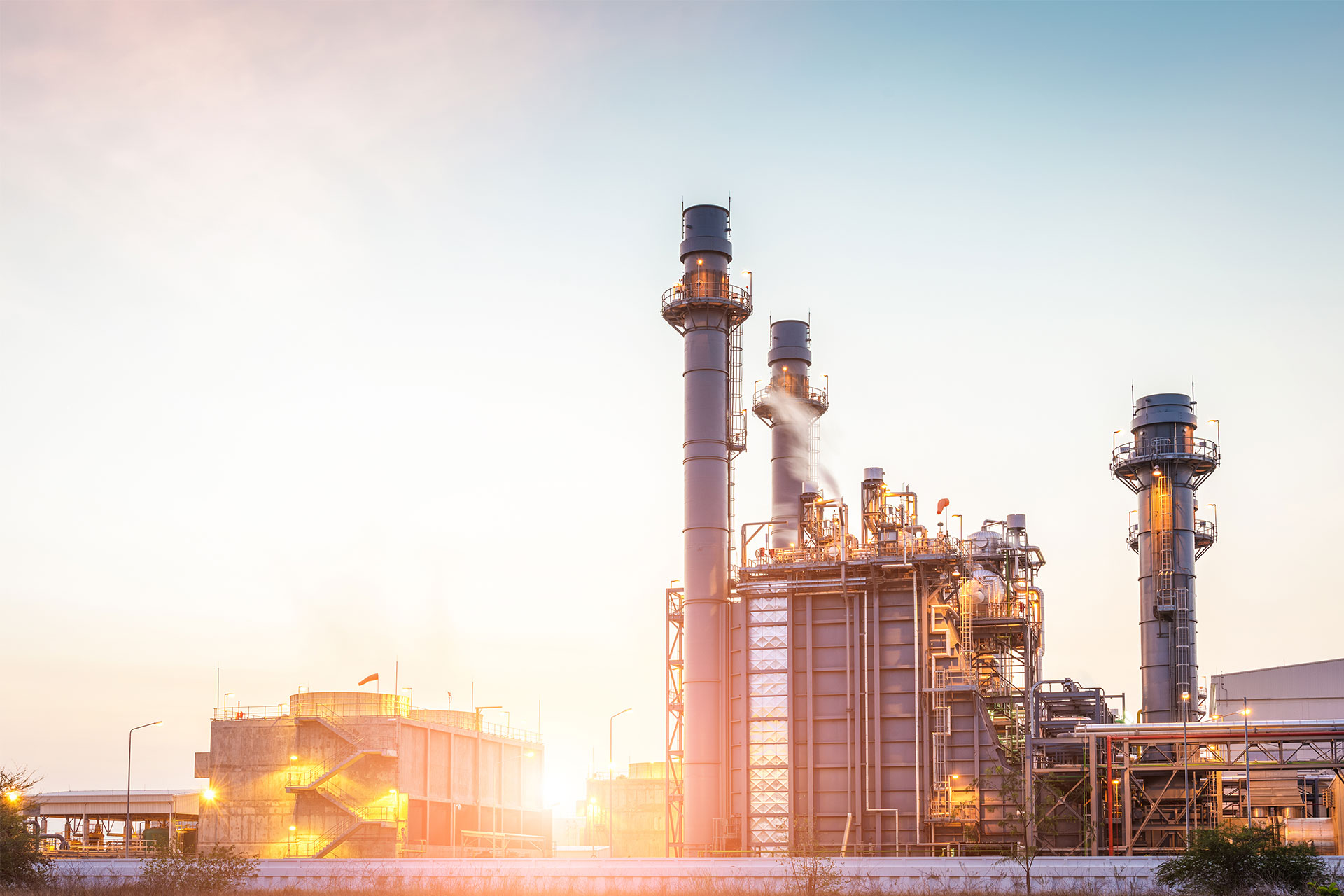 Zeta Corp – We Build The Trends